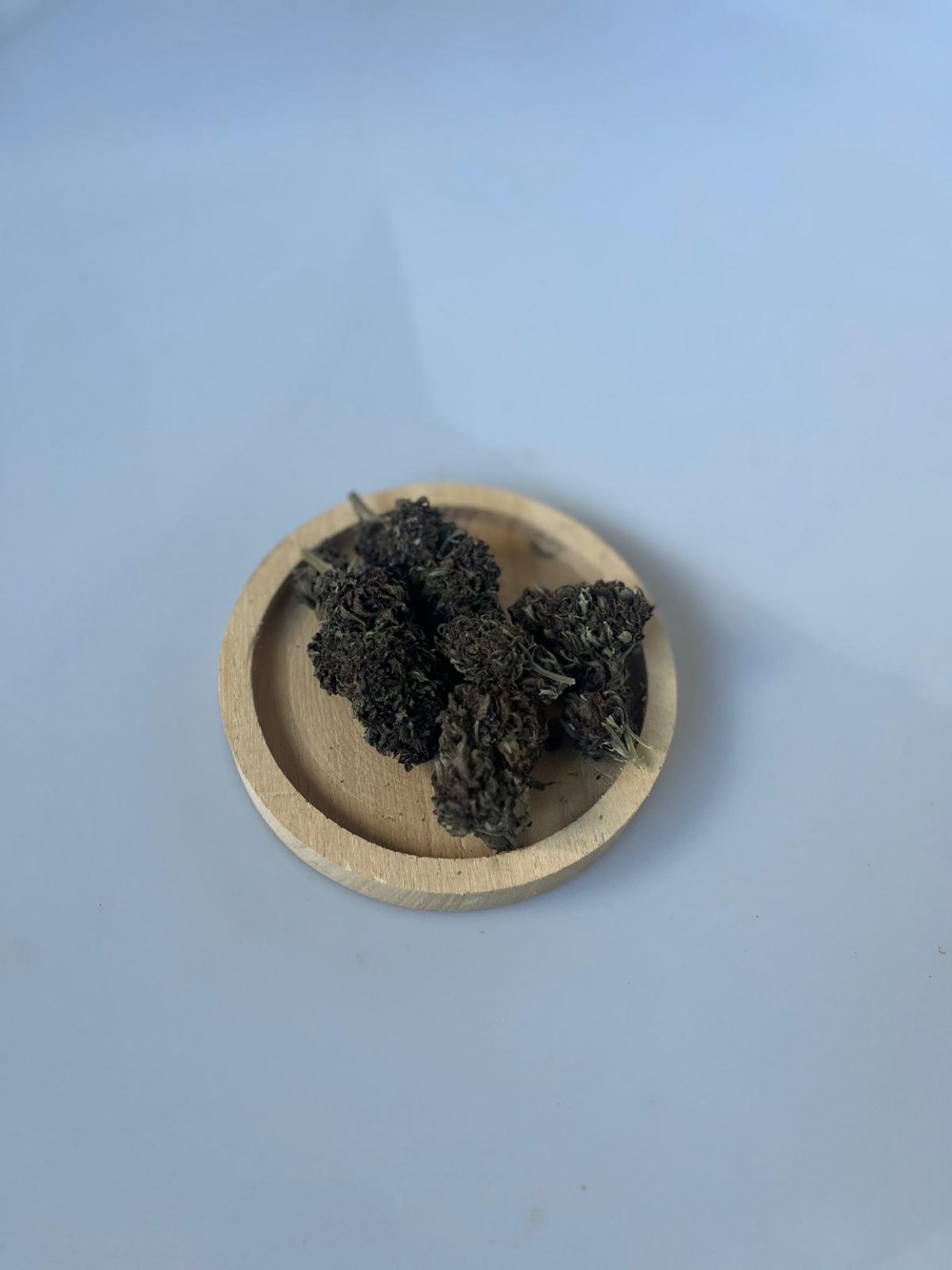 Purple Haze - à partir de 5,90€/g - Terra CBD